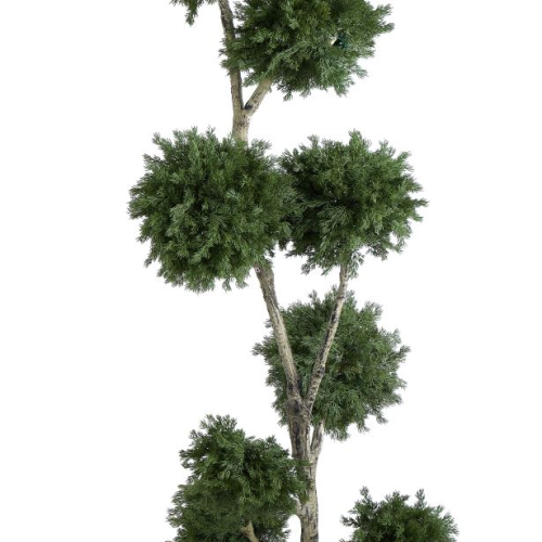 Australian Interior Landscapes - Cloud Nine Pine Tree 180 cm