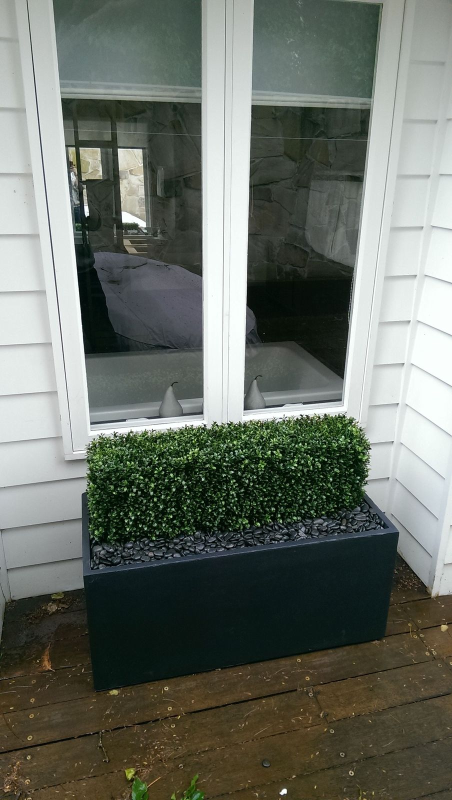 Australian Interior Landscapes - Boxwood Hedge Small 25x95cm