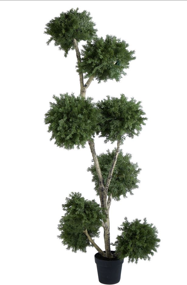 Australian Interior Landscapes - Cloud Nine Pine Tree 180 cm